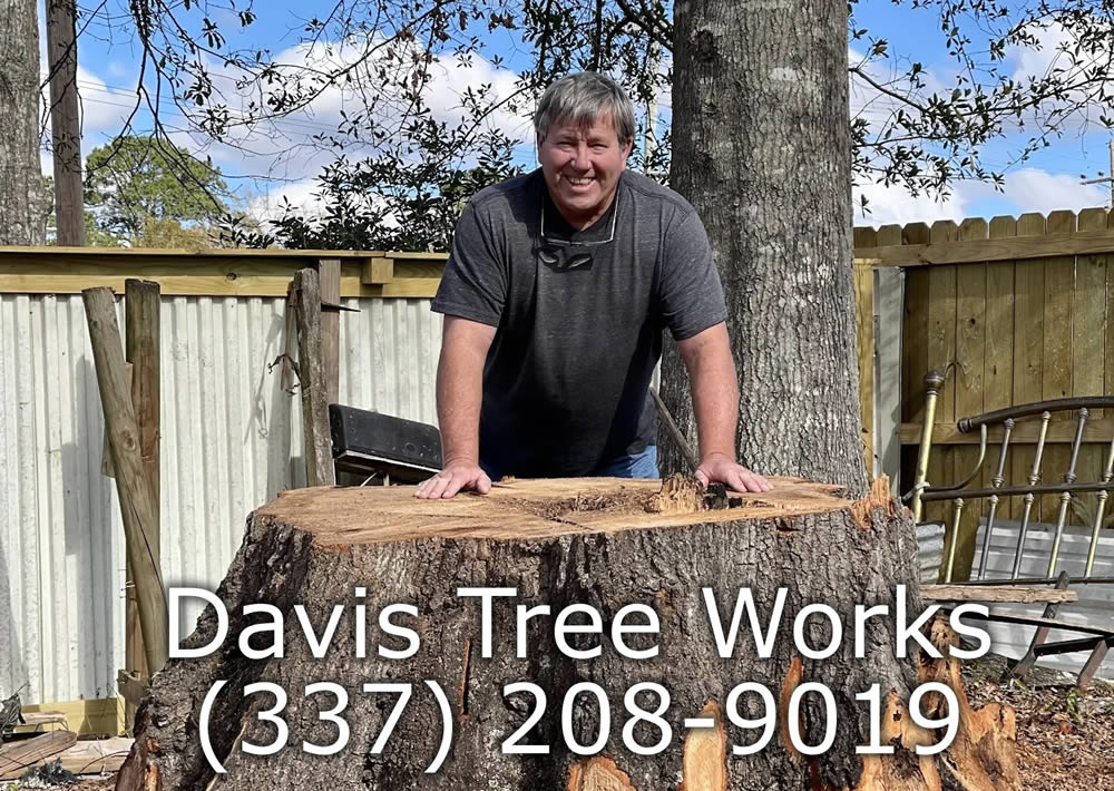 Tree Service for DeRidder Leesville - Davis Tree Works